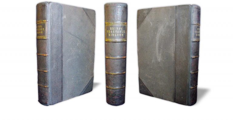 Leather Book Binding Repair | Repair Leather Books | Book Repair